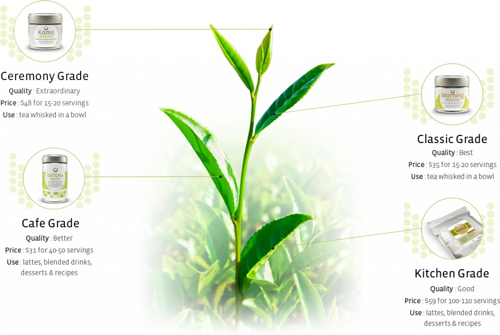 matcha_tea_buyers_guide - Matcha Source